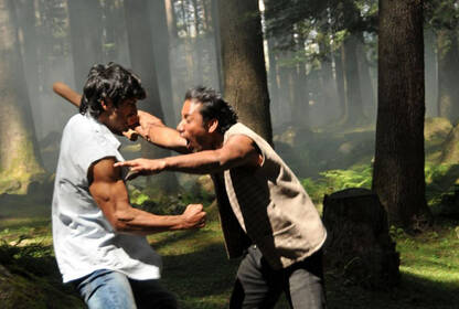 Commando (movie, 2013)