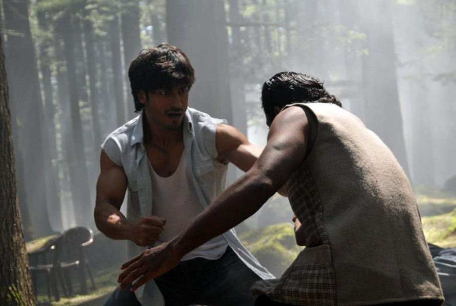 Commando (movie, 2013)