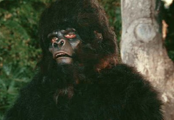 Mickey Morton - actor - biography, photo, best movies and TV shows