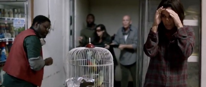 Screenshots - Bird Box