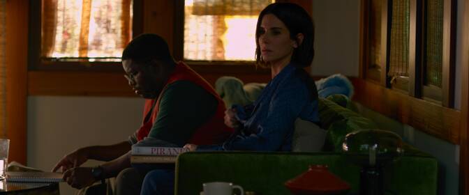 Screenshots - Bird Box