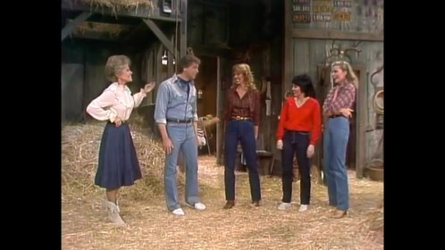 Sue Ane Langdon - actress - biography, photo, best movies and TV shows