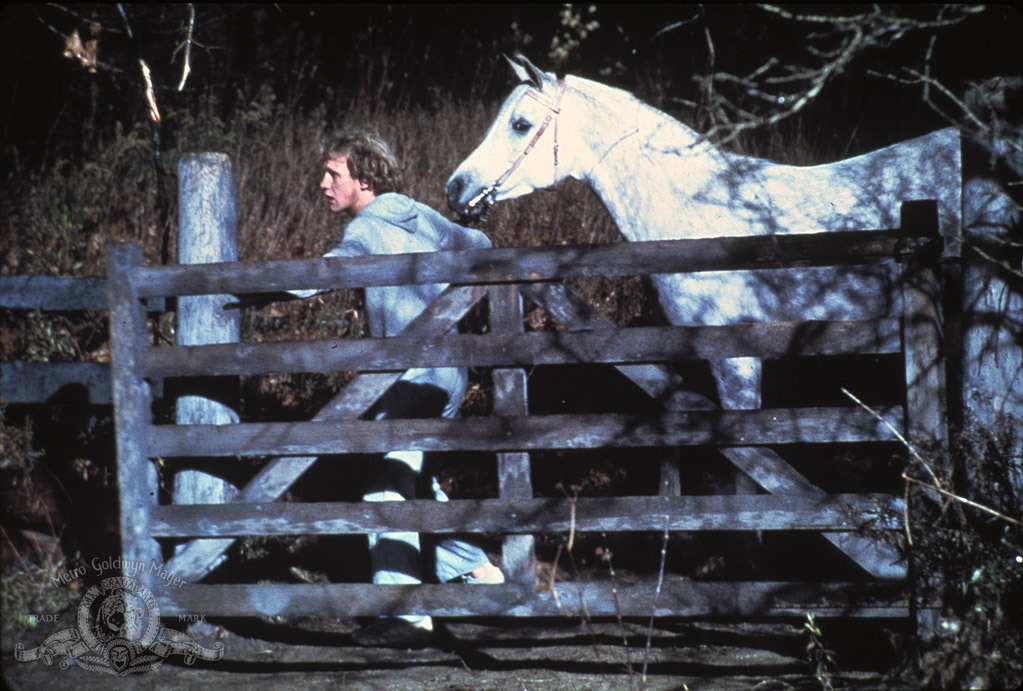 Peter Firth - actor - biography, photo, best movies and TV shows