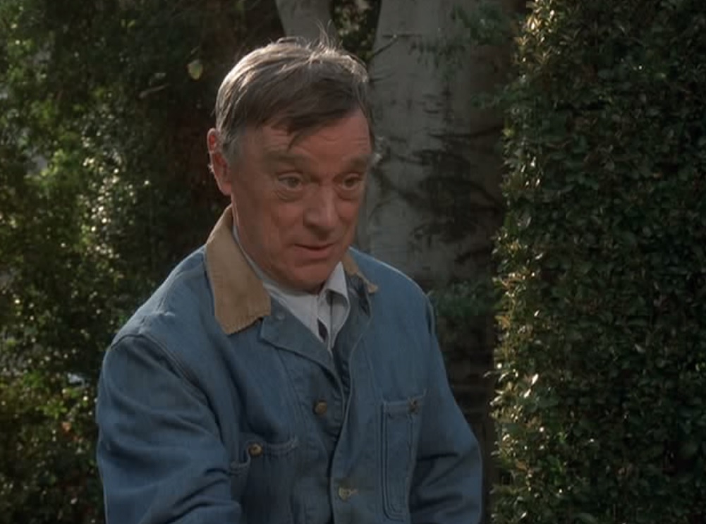 Harry Townes - actor - biography, photo, best movies and TV shows