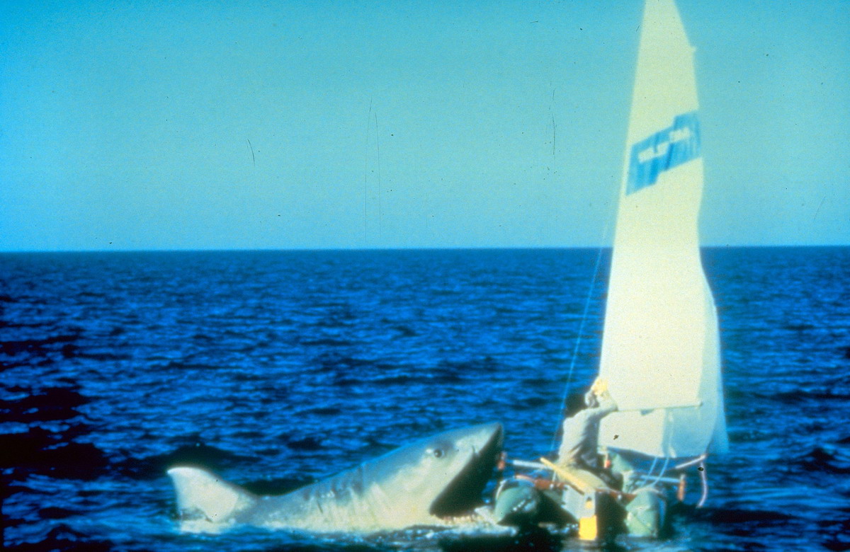 Jaws 2 (movie, 1978)