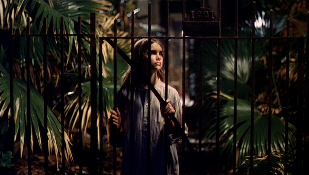 Stills - Pretty Baby