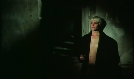 Screenshots - Zoo zéro