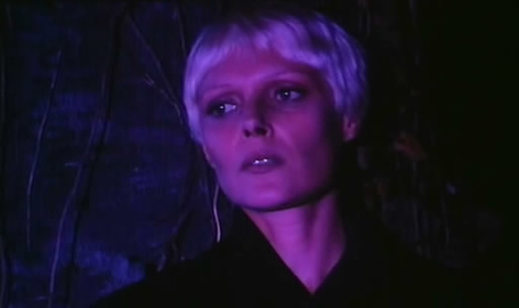 Screenshots - Zoo zéro