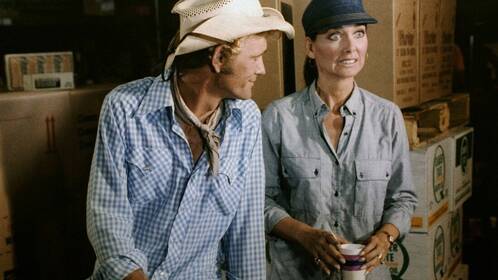 Hot Stuff (movie, 1979)