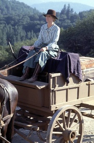 The Incredible Journey of Doctor Meg Laurel (movie, 1979)