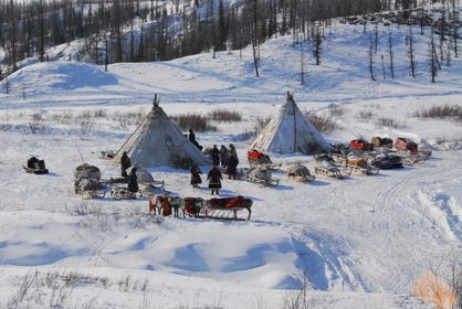 White Moss (movie, 2014)