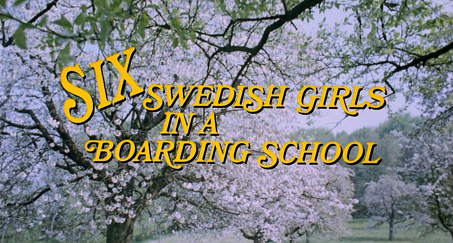 Six Swedish Girls In A Boarding School Movie 1979
