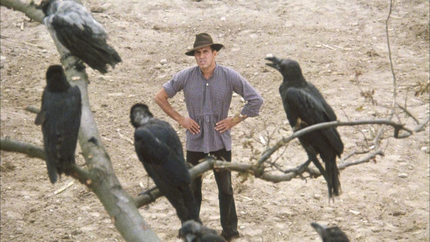 The Taming of the Scoundrel (movie, 1980)