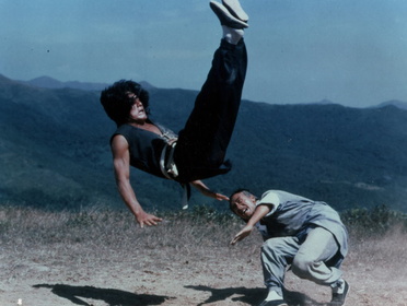 The Young Master (movie, 1980)