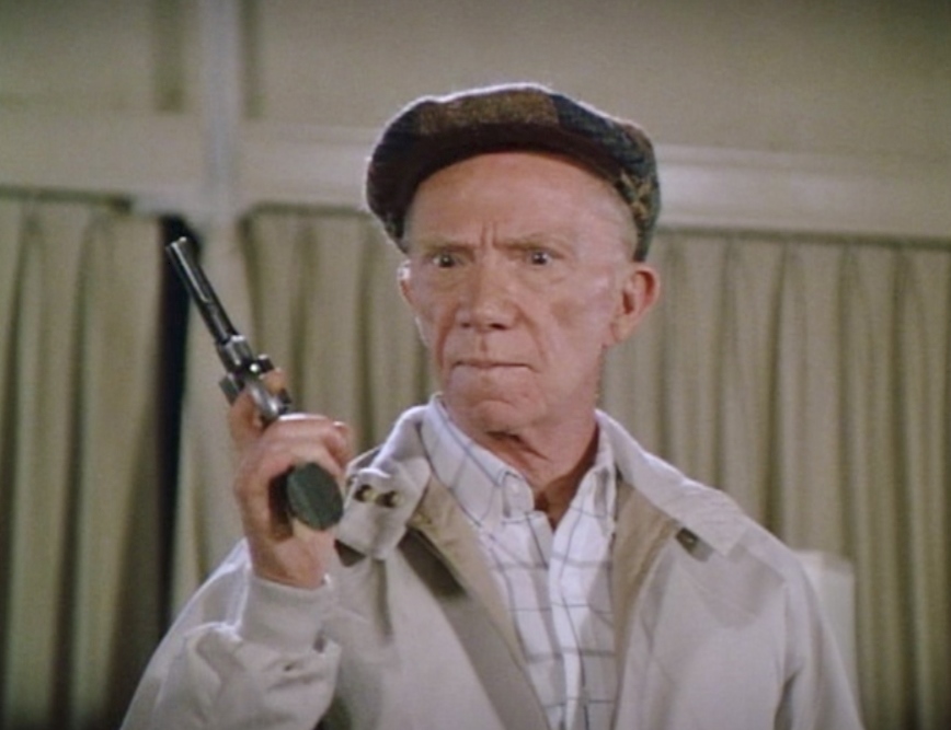 Ray Walston - actor - biography, photo, best movies and TV shows