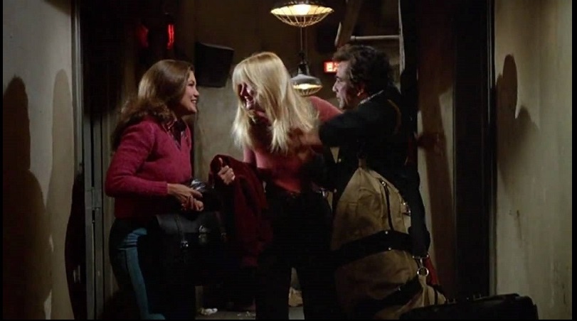 Vicki Frederick - actress - biography, photo, best movies and TV shows