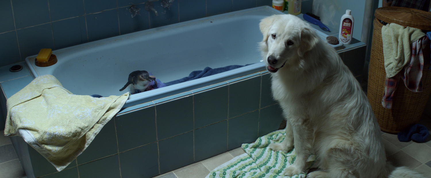 Screenshots - Oddball