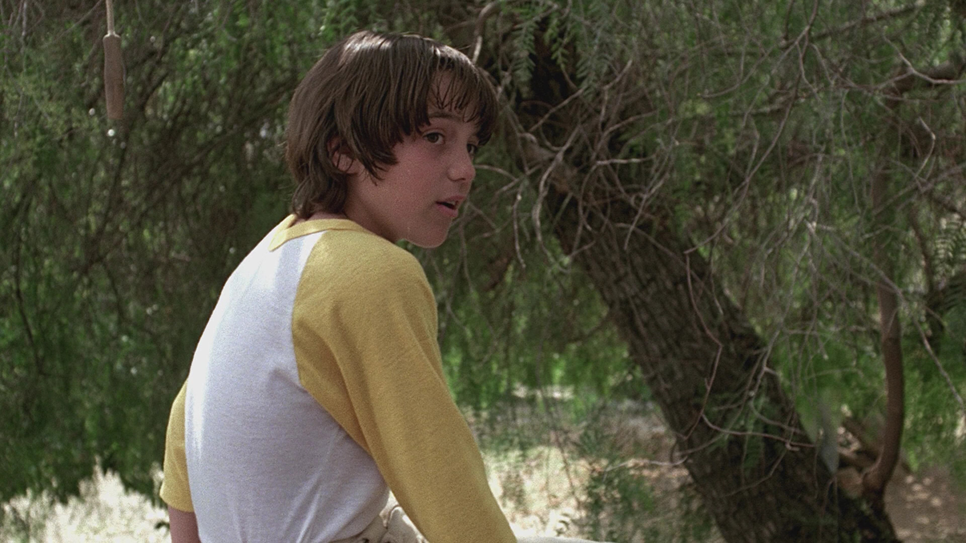 K.C. Martel - actor - biography, photo, best movies and TV shows