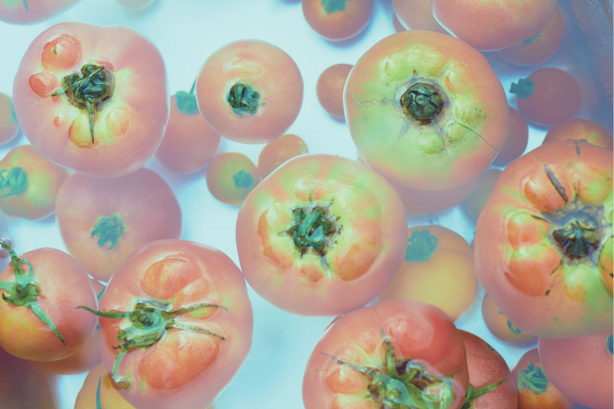 Little Forest: Summer/Autumn (movie, 2014)