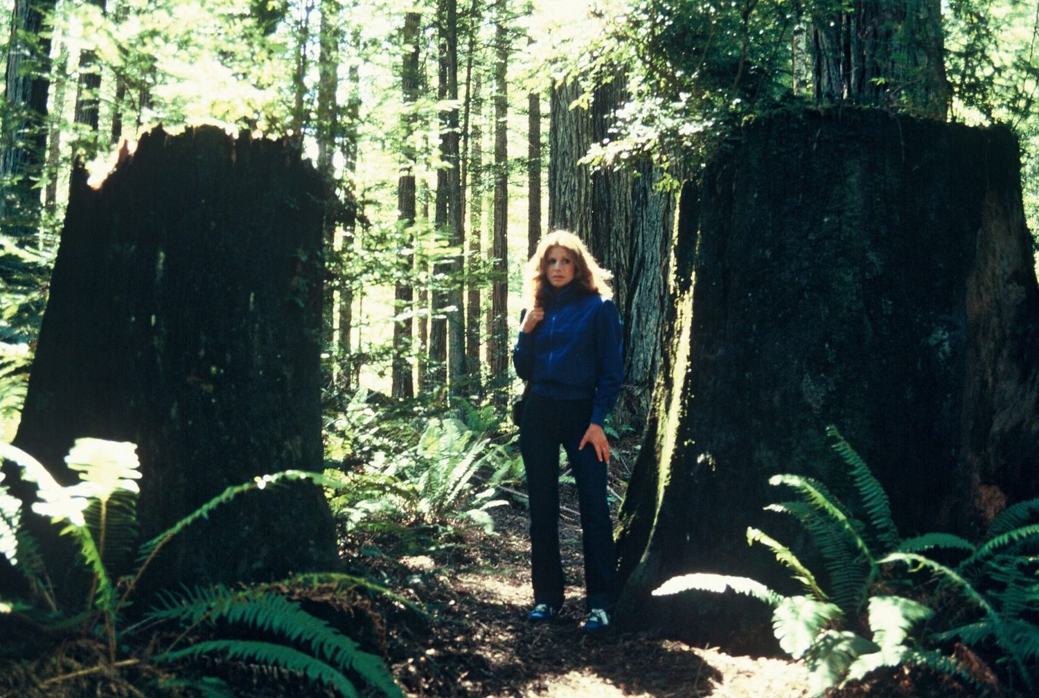 The Howling (movie, 1980)