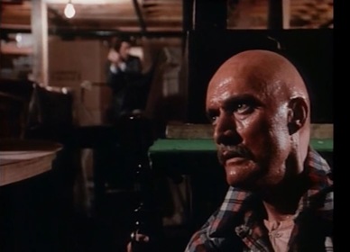 Matt Houston (series, 1982 – 1985)