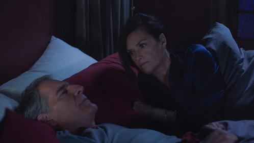 Chelsea Field - actress - biography, photo, best movies and TV shows