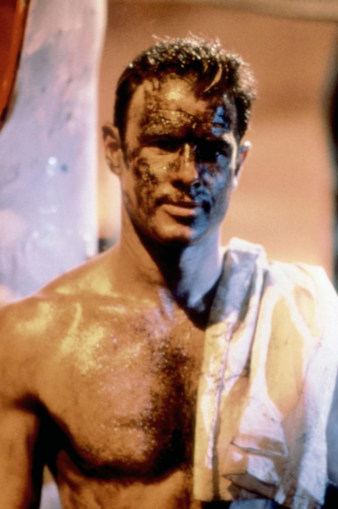 Brad Davis - actor - biography, photo, best movies and TV shows