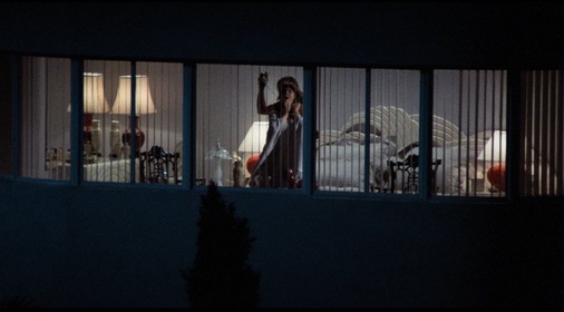 Deborah Shelton - actress, writer, producer