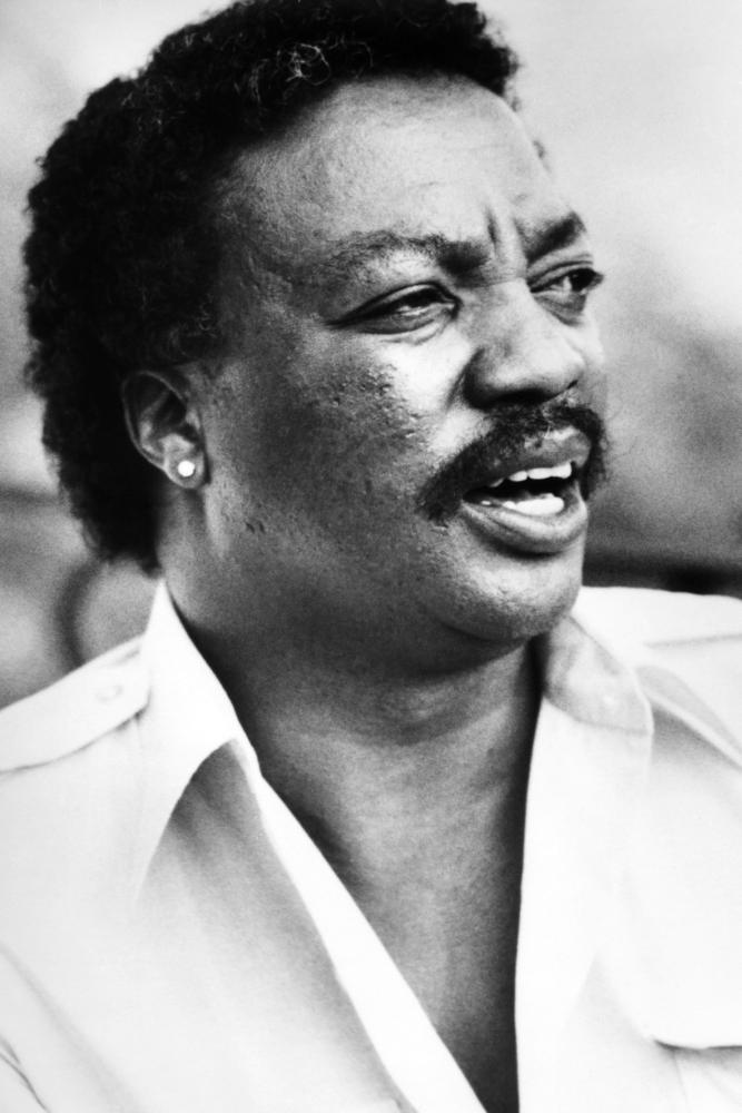 Paul Winfield - actor - biography, photo, best movies and TV shows