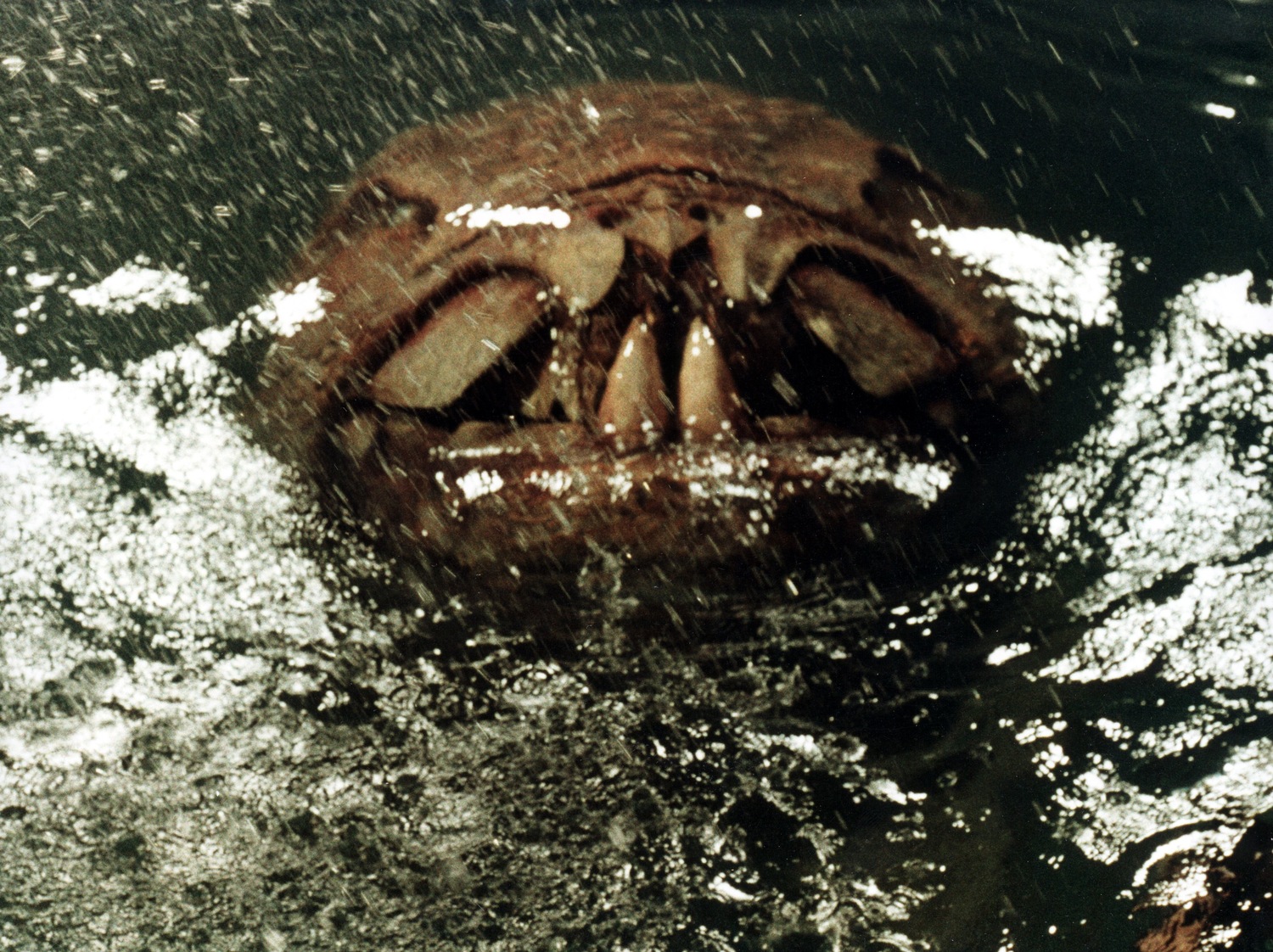 Devil Fish (movie, 1984)