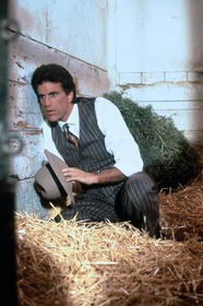 A Fine Mess (movie, 1986)