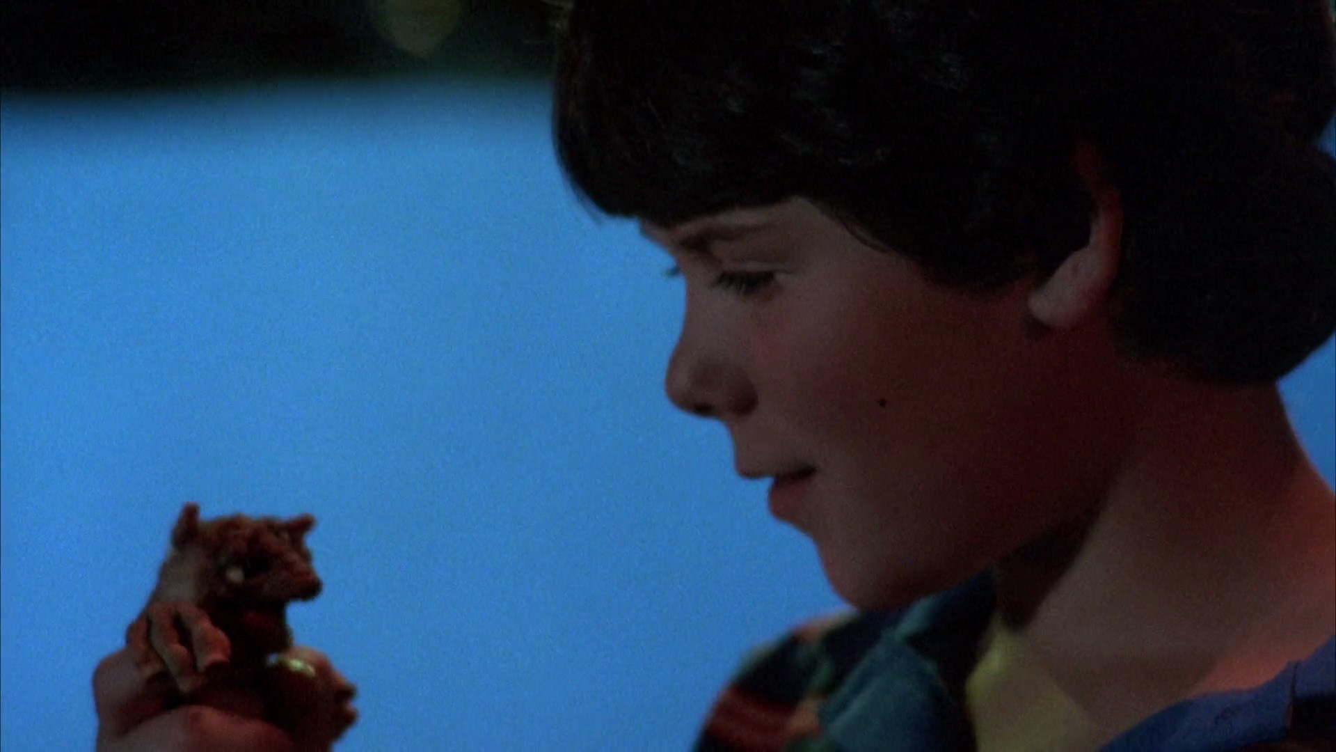 Joey Cramer - actor - biography, photo, best movies and TV shows