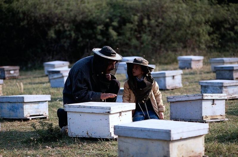 The Beekeeper (movie, 1986)