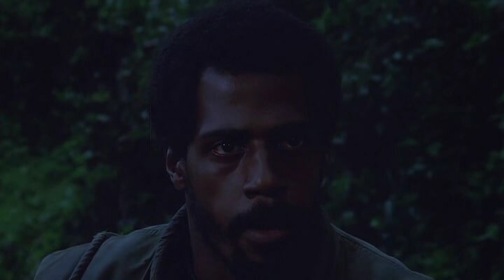 Steve James - actor, writer - biography, photo, best movies and TV shows