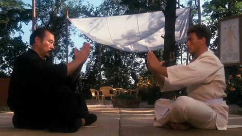 Roy Chiao - actor - biography, photo, best movies and TV shows