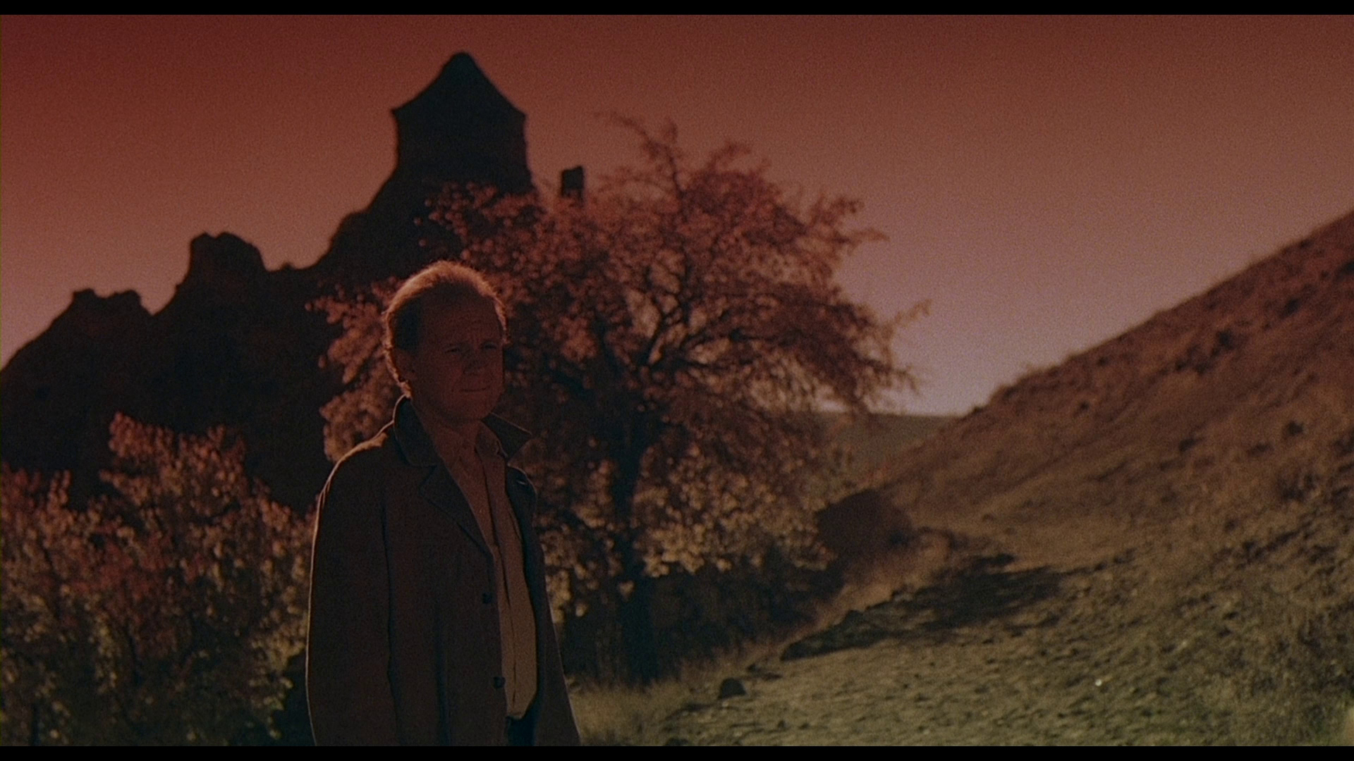 Peter Firth - actor - biography, photo, best movies and TV shows