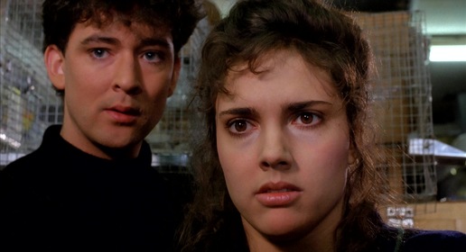 Robert Hines - actor - biography, photo, best movies and TV shows