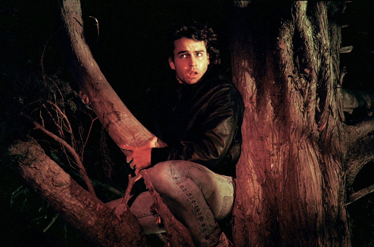 Photos - The Lost Boys