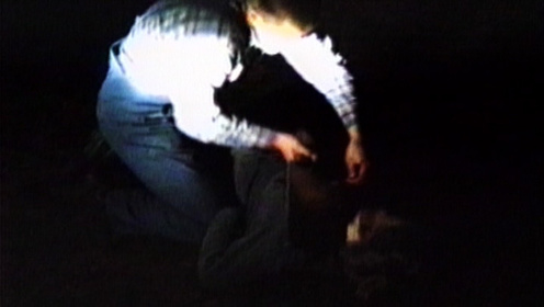 Stills - Violent Shit