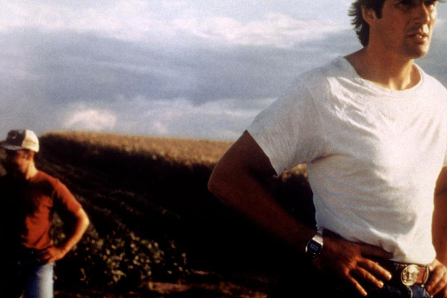 Kevin Anderson - actor - biography, photo, best movies and TV shows