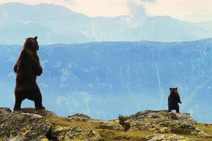 The Bear (movie, 1988)