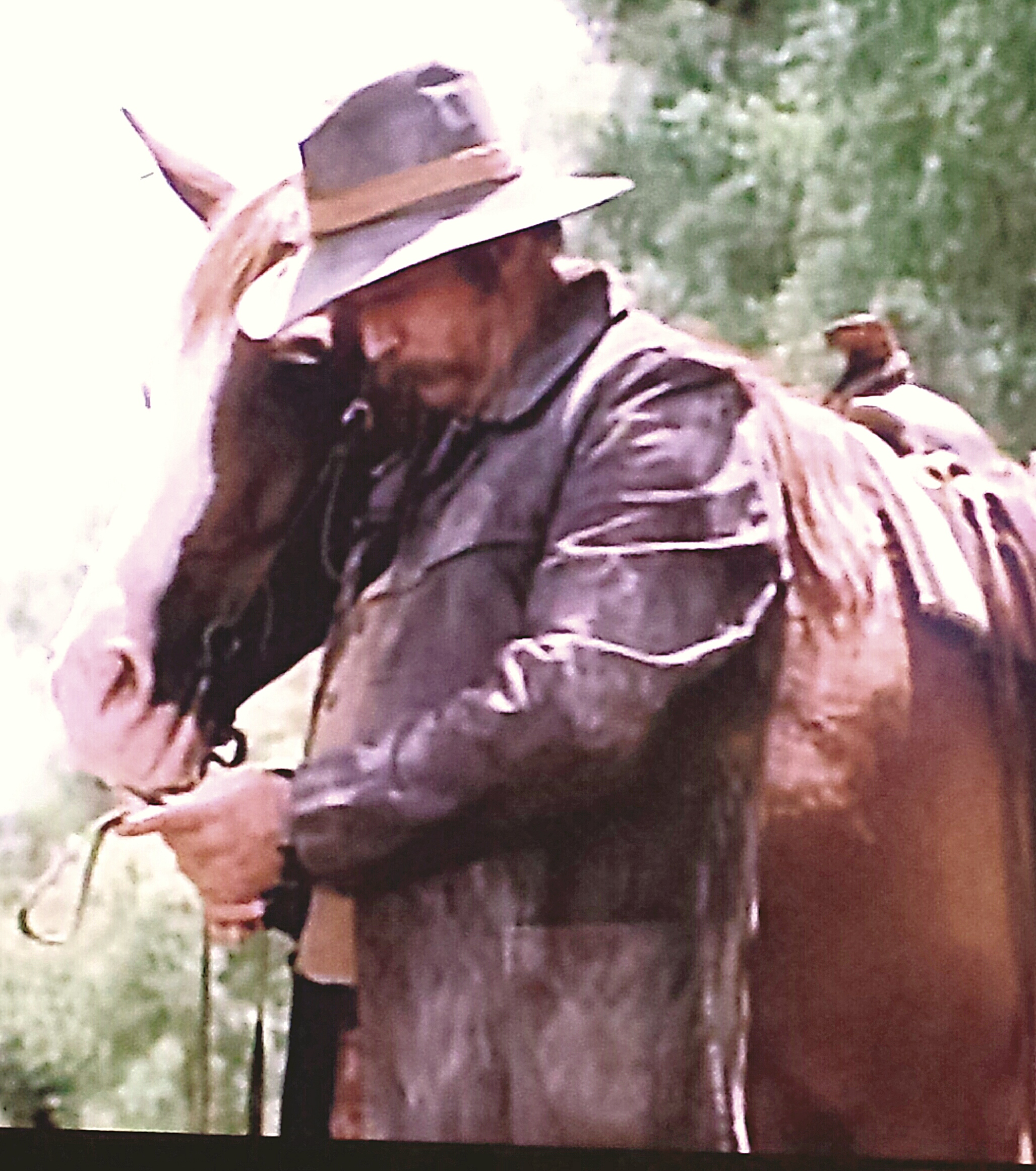 James Gammon - actor - biography, photo, best movies and TV shows