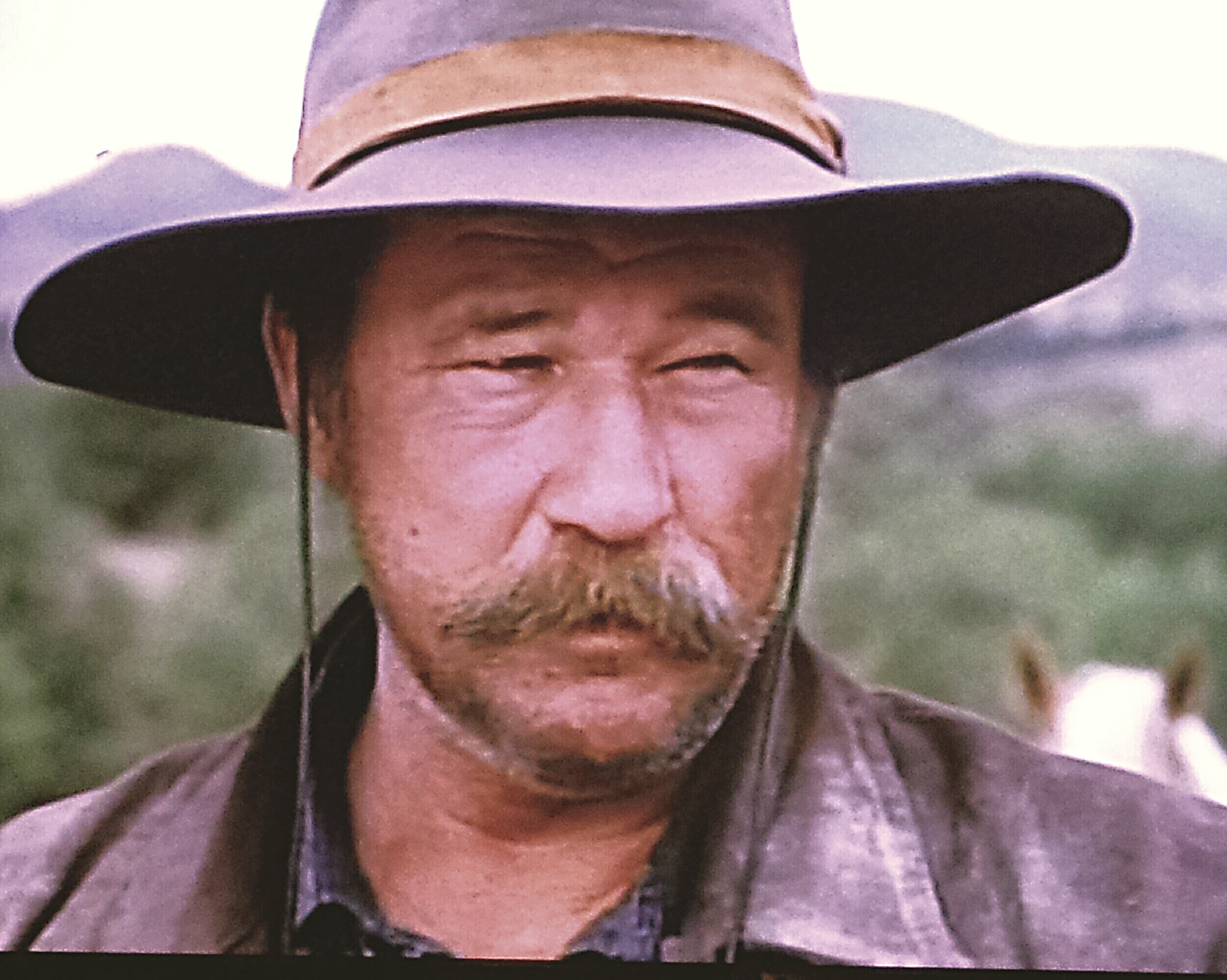 James Gammon - actor - biography, photo, best movies and TV shows