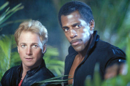 Steve James - actor, writer - biography, photo, best movies and TV shows