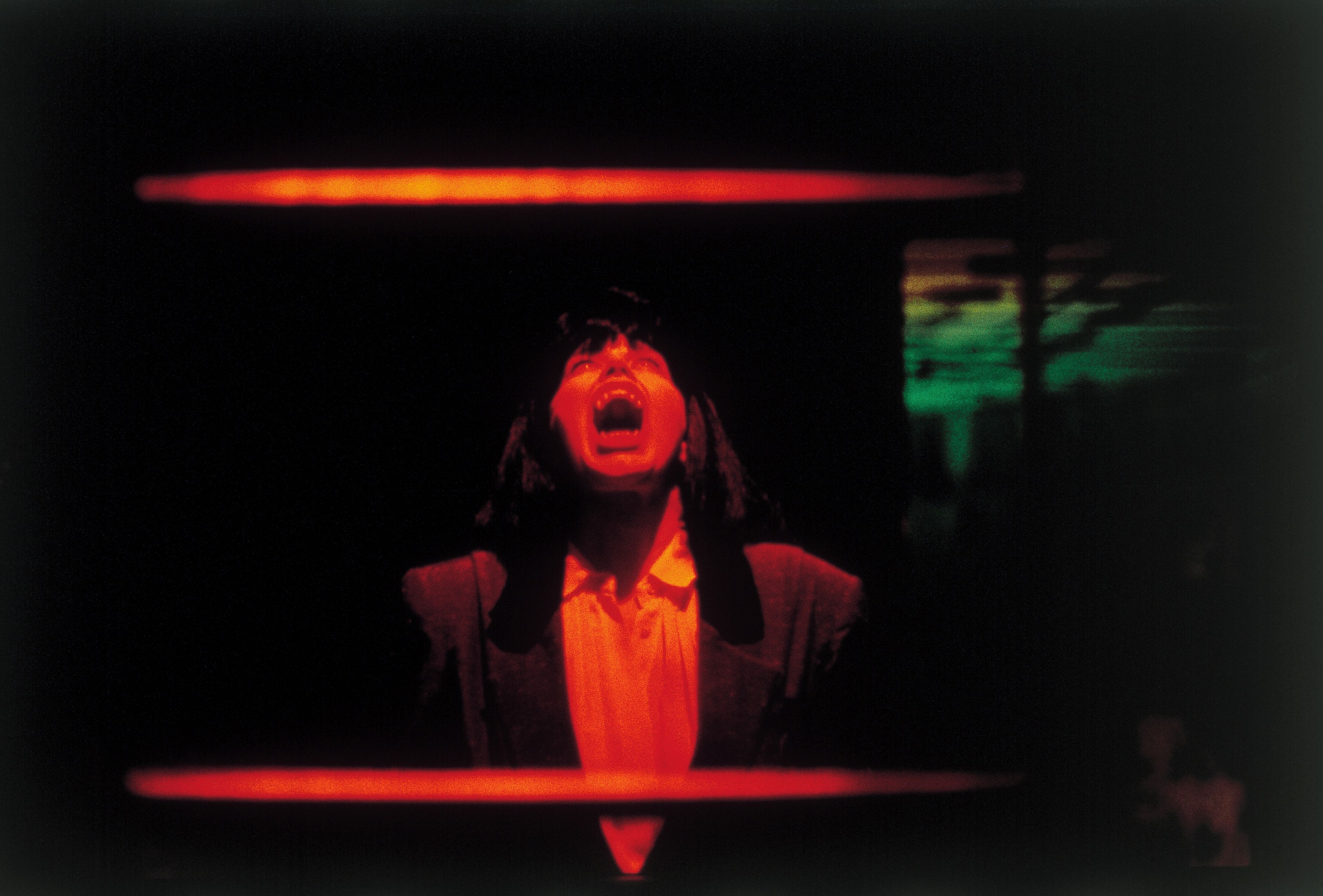 Sylvia Kristel - actress, director