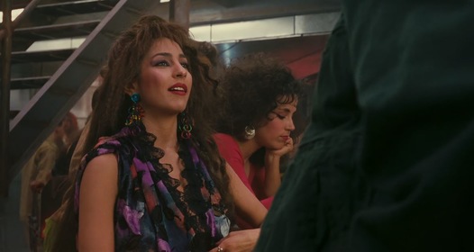 Lycia Naff - actress - biography, photo, best movies and TV shows