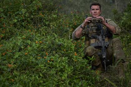 Stills - Land of Bad