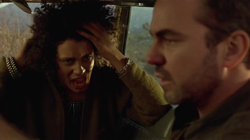 Cynda Williams - actress, writer, producer