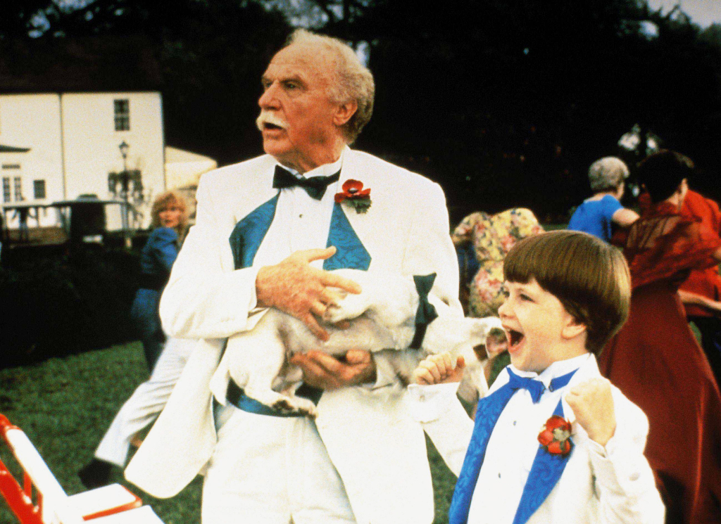 Problem Child 2 (movie, 1991)