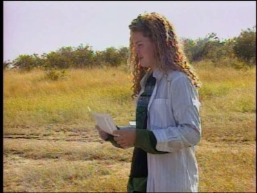 The Real World (series, 1992 – 2019)